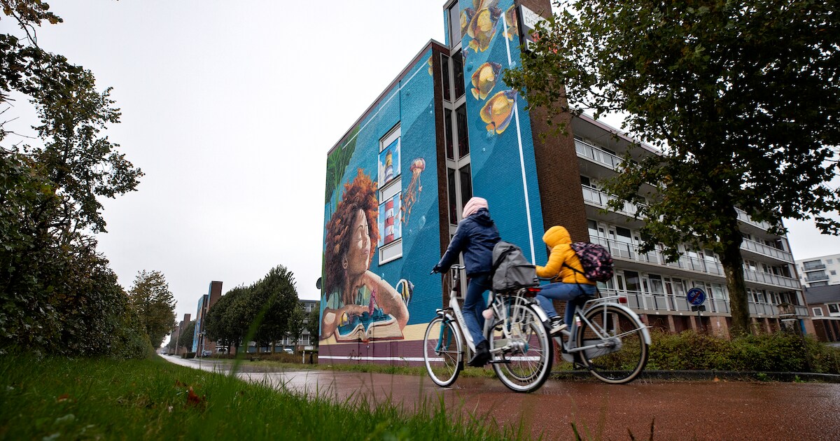 Saaie flatgevels langs doorgaande weg Helmond versierd met kleurrijke ...