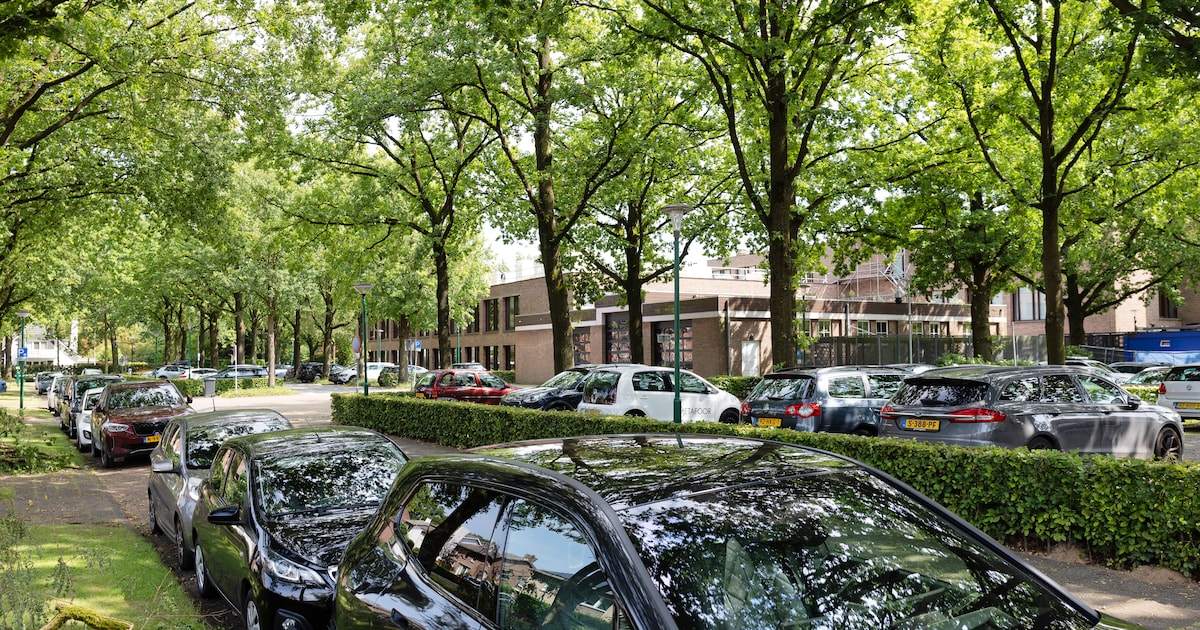 Het is momenteel lastig parkeren in Beek en Donk en dat heeft te maken ...