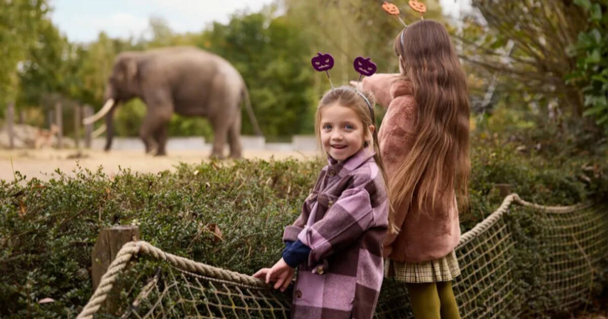 Eindhoven Zoo viert Halloween met BOEH! in de ZOO | Eindhoven | ED.nl