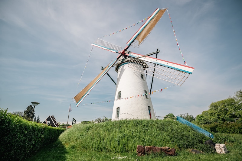 Lezers komen met oplossingen voor molen De Adriaan in Veldhoven ...