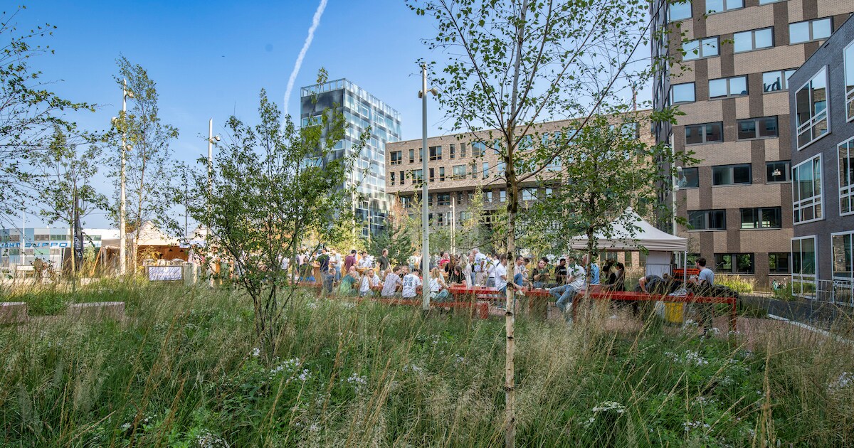 Flight Forum wil 15-jaarsregel schrappen voor studenten- en ...