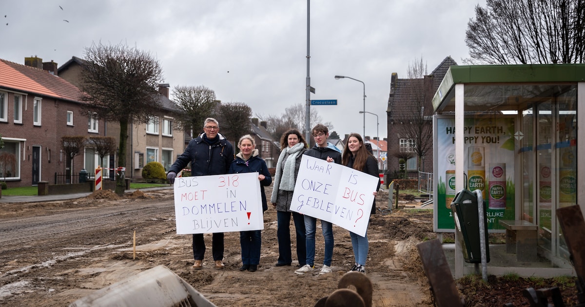 Optimisme over behoud buslijn 318 door Dommelen: ‘We kunnen de ...