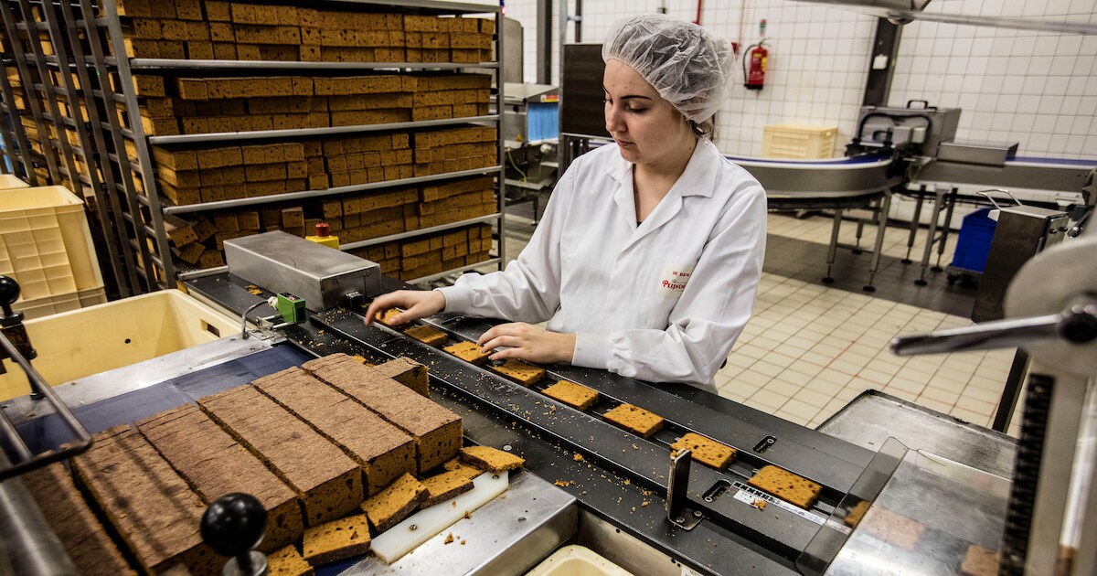 Peijnenburg klimt uit dal met ontbijtkoek: 'Lichte groei’ verkopen na ...