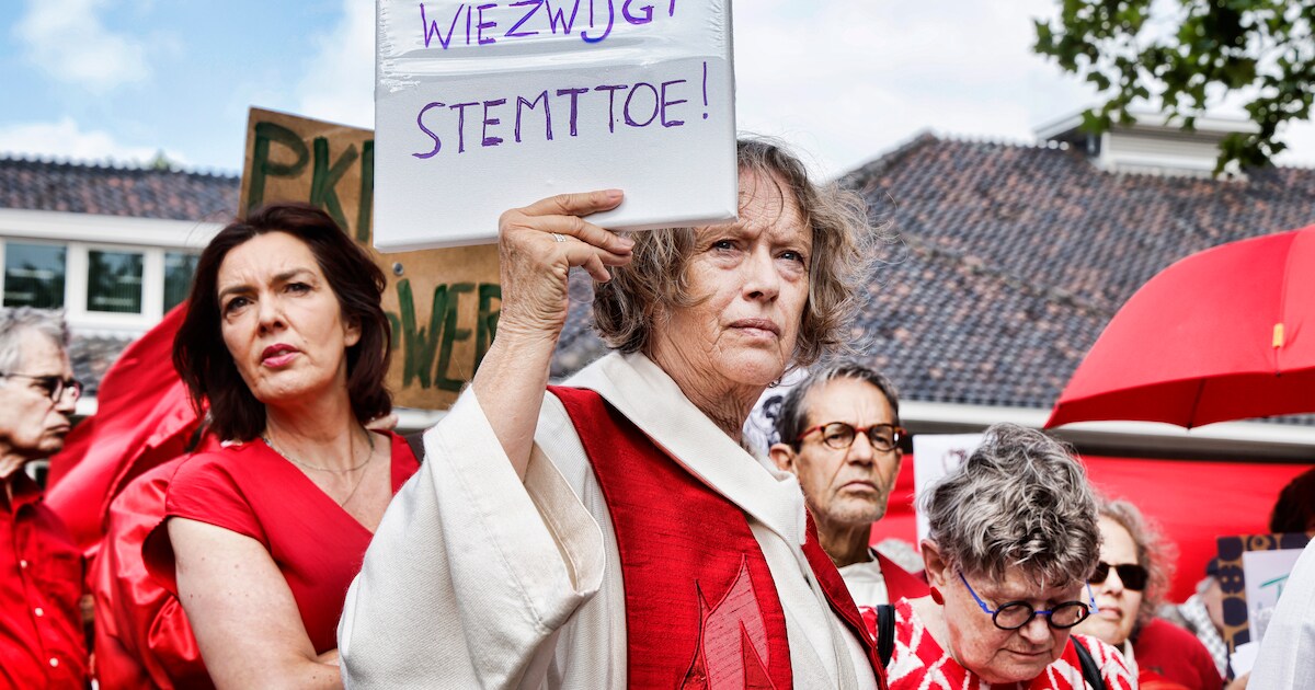 Rode Lijn-protest in Bergeijk tegen leed in conflictgebieden: ‘Dit ...