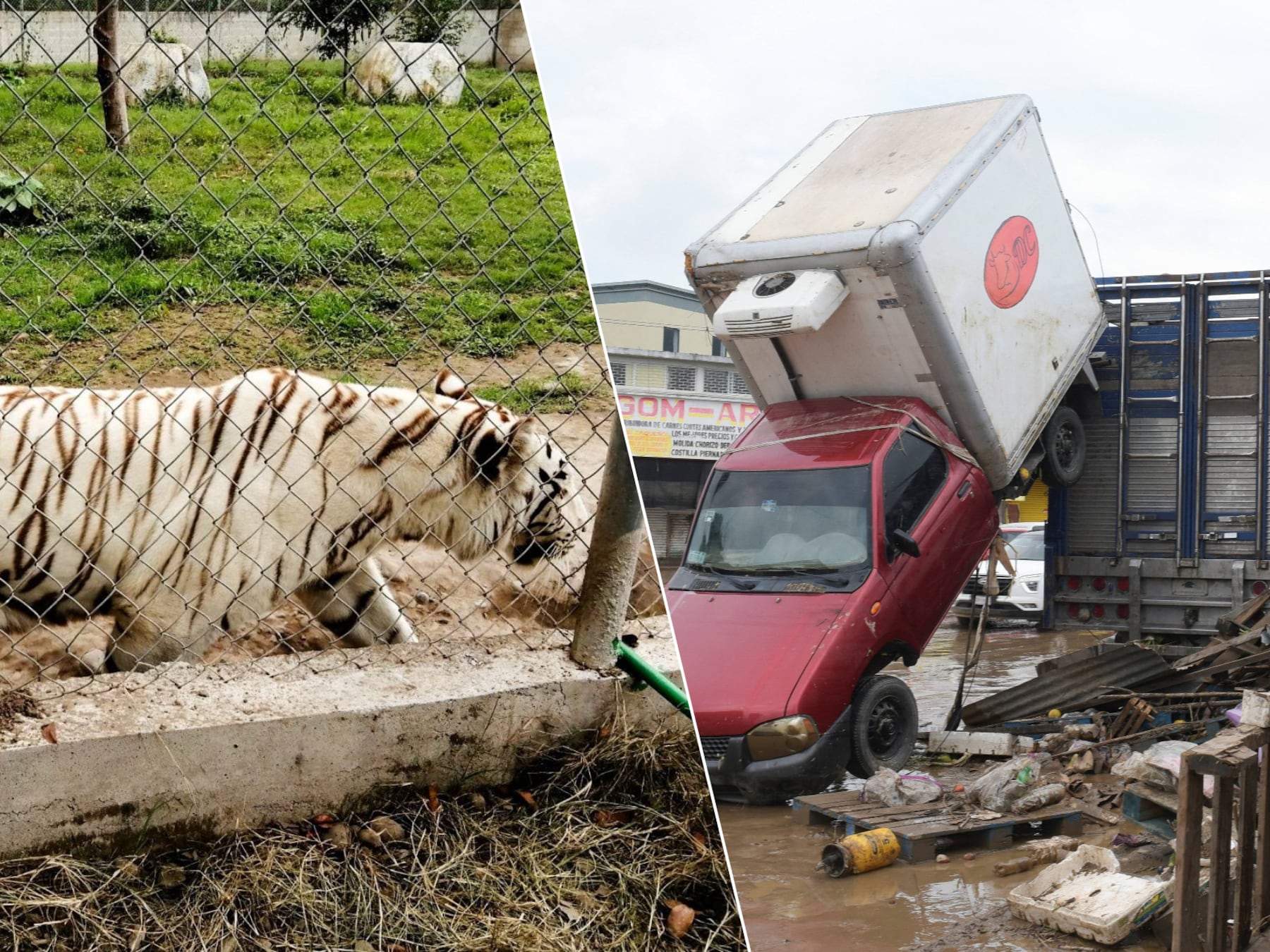 Vader van 16-jarige die Benten (18) doodstak in Mol getuigt: ‘Ook onze ...