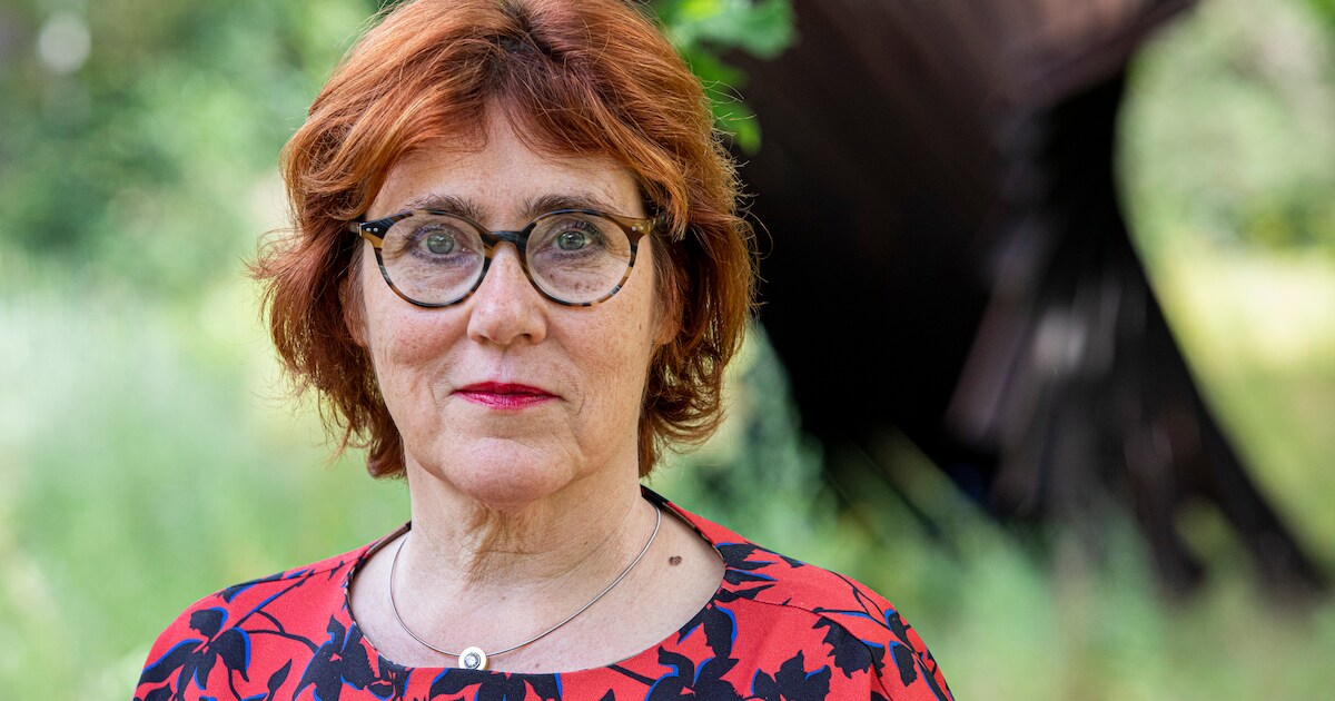 Laatste verlenging ziekteverlof wethouder Peet van de Loo | Waalre | ED.nl