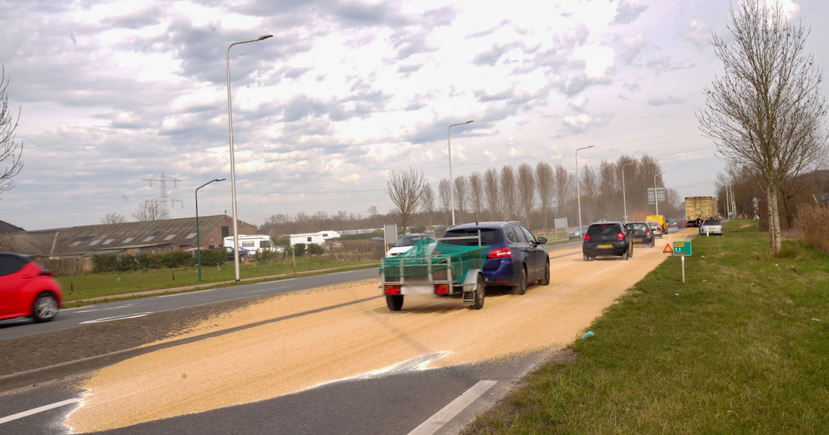 Vrachtwagen verliest lading graan op N272 bij Beek en Donk | Regio | ED.nl