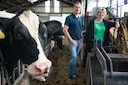 Melkveehouder Mari gaat met buikpijn naar bed door stikstofbesluit ...
