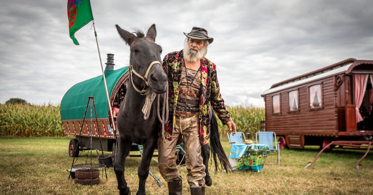Sinti-Festival Sint-Oedenrode trekt steeds meer burgers | Eindhoven | ed.nl
