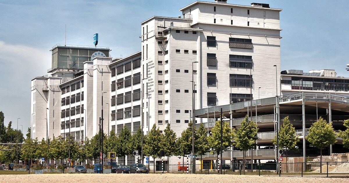 Breekjaar Eindhoven: Tussenjaar is meer dan alleen wat lummelen ...