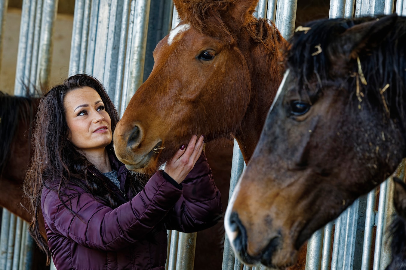 Deedry uit Boer zoekt Vrouw is leugens over liefdesbreuk met Roy zat ...