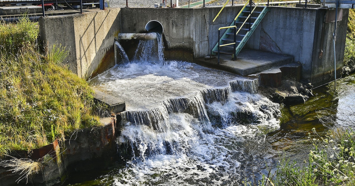 Waterschap De Dommel wil meer invloed op vergunning zinkfabriek Nyrstar ...