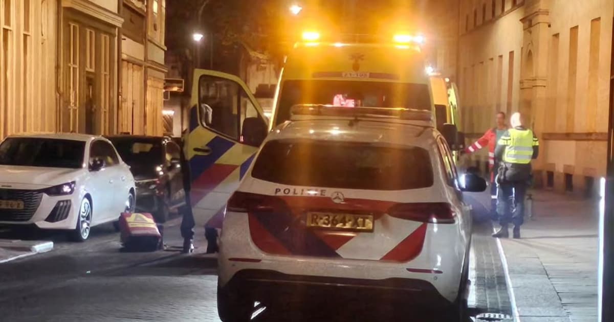 Man loopt hoofdwond op bij val uit raam in Den Bosch | Regio | ED.nl