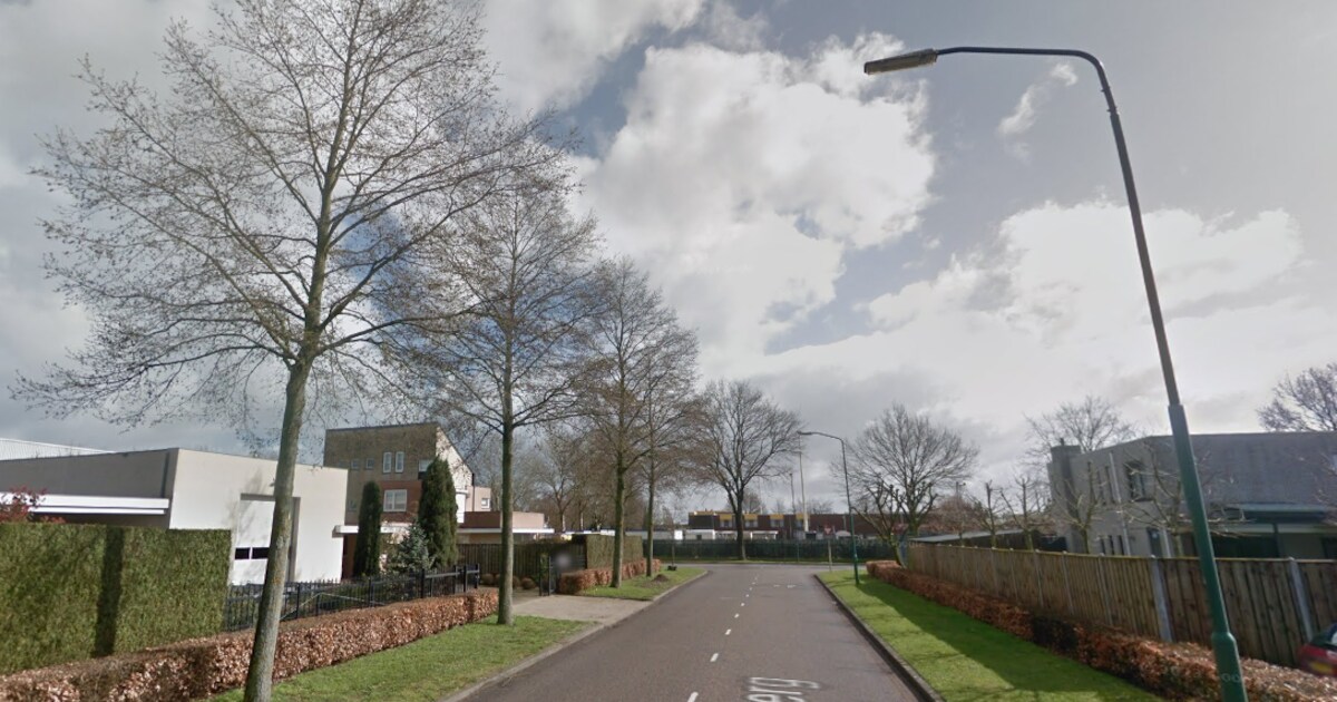Vergiftigde bomen op bedrijventerrein Bergeijk worden vervangen, dader ...