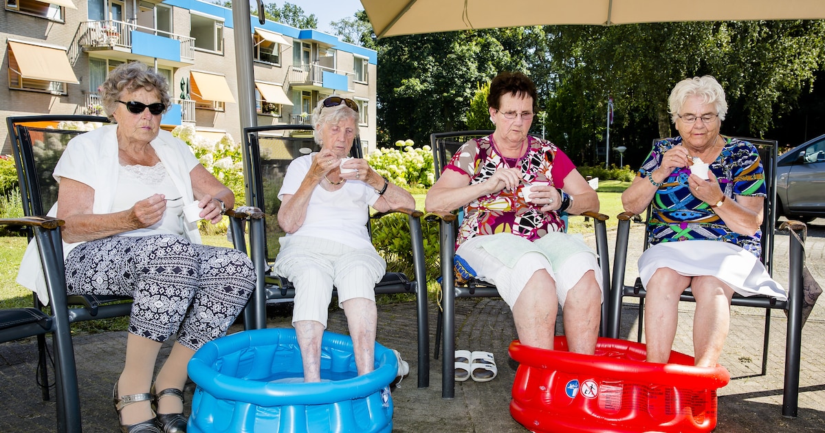 Snoeiheet weekend in Brabant: kwik loopt op tot 32 graden | Tilburg | ED.nl