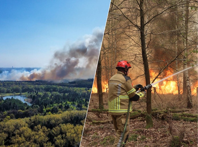 Al uren aan het blussen: inmiddels strijden 140 mensen met man en macht ...