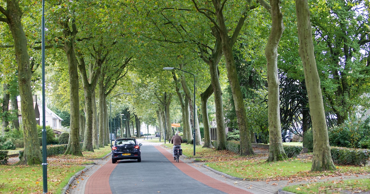 Nieuw centrum Reusel weer in de wacht, bewoners en gemeente eerst naar ...