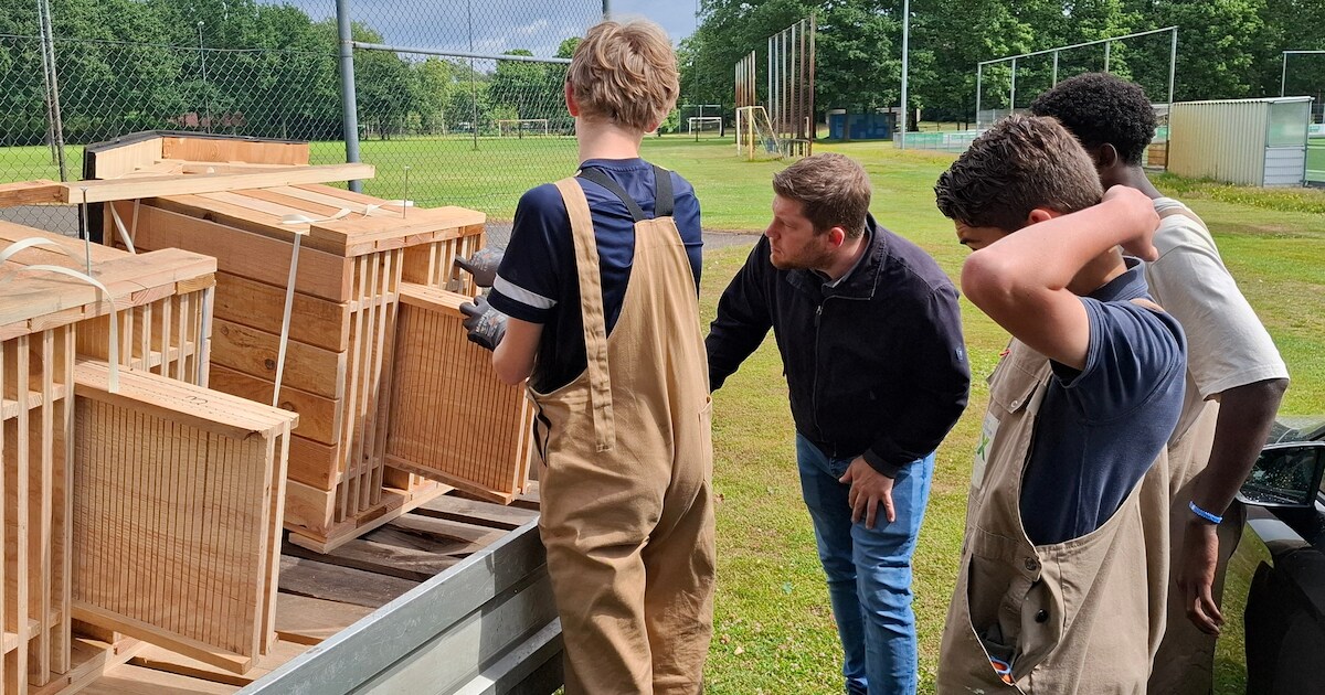 School levert vervangende woonruimte voor vleermuizen; Leerlingen Pius X-College maken ...