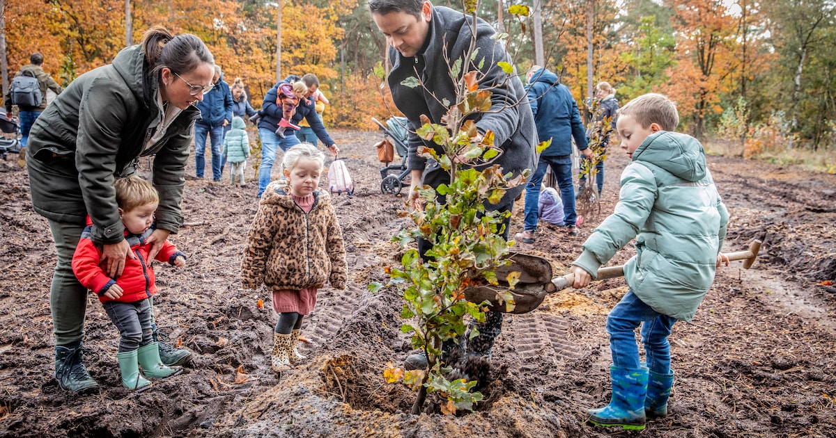Esmee, Charlie en Juna kregen van de gemeente geen beertje, maar een ...