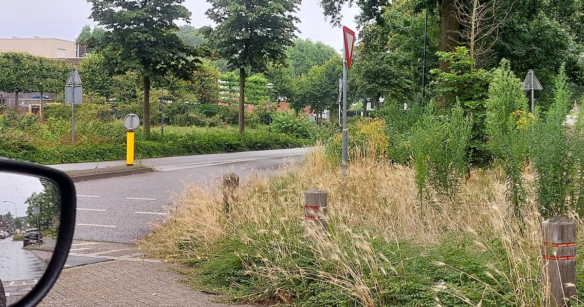 Helder Helmond: ‘zoek betere balans tussen groeien en snoeien’ | Helmond | ed.nl