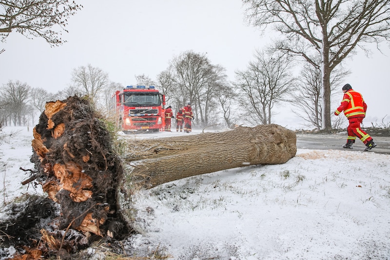 LIVE Winterweer in Brabant | Sneeuw verwacht in Brabant ...