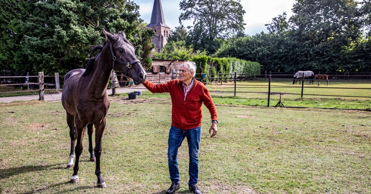 Leo weet niet hoe het met zijn paarden moet, nu de paardenwei verdwijnt ...
