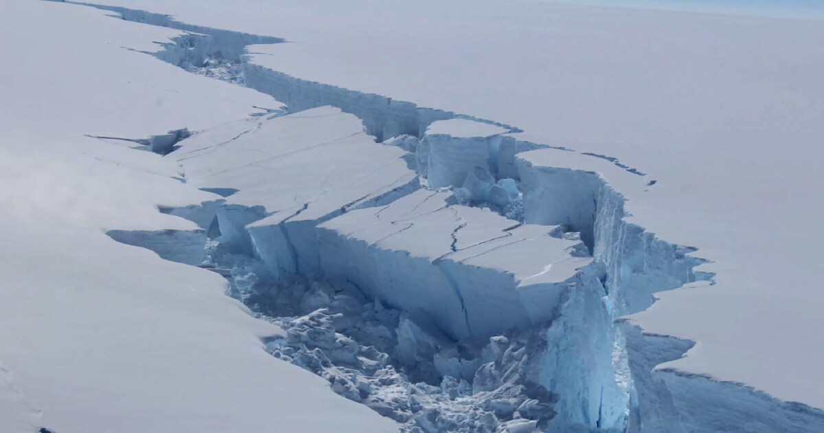 Losgescheurde mega-ijsschots legt uniek ecosysteem tijdelijk bloot ...