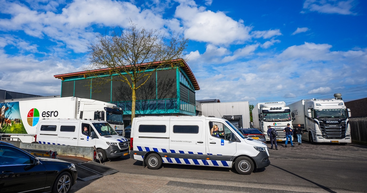 Vleesverwerker Esro in Nuenen op slot: voorraad wordt vernietigd na ...