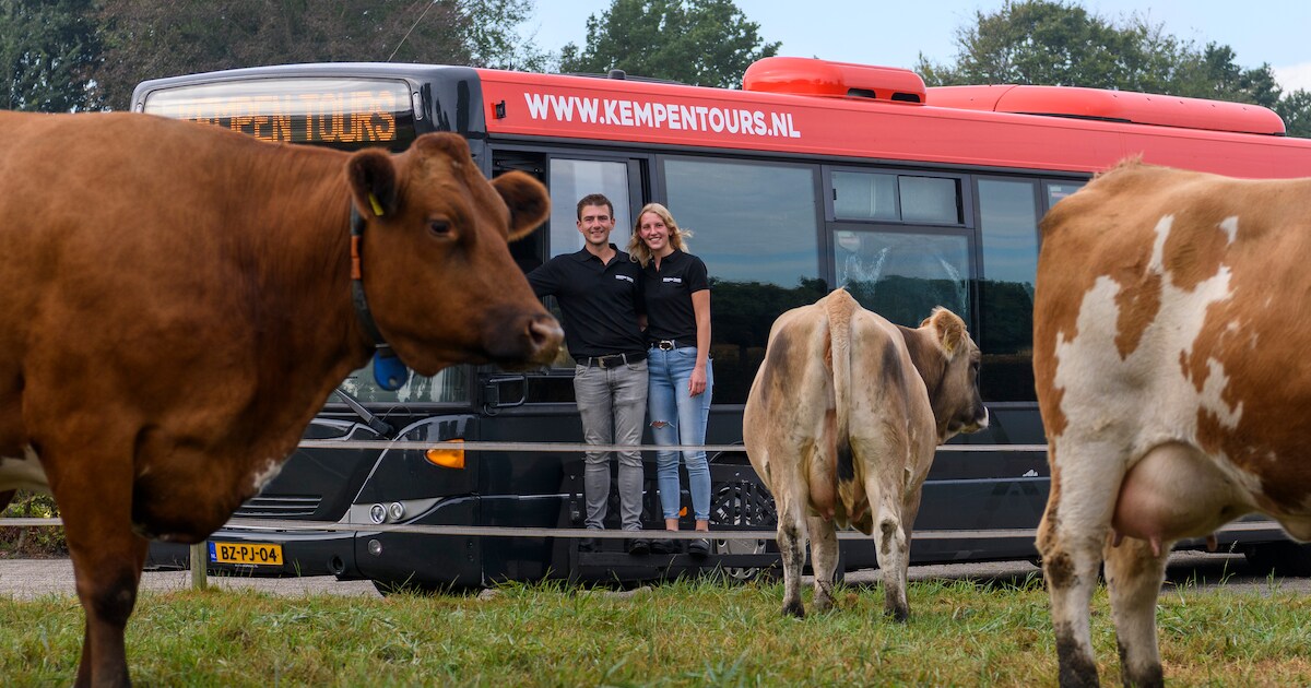 Ouders zijn dolblij met Wesley (27), voor 15 euro worden jonge stappers ...