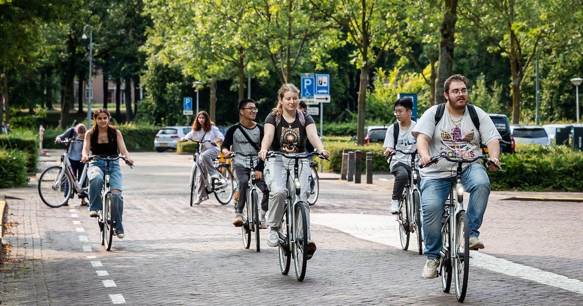 Eindhoven attracts international students: 48.9 percent stay in the ...