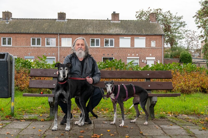 Vier pootjes aan een lijn en de ontmoetingen ontstaan vanzelf, foto ...