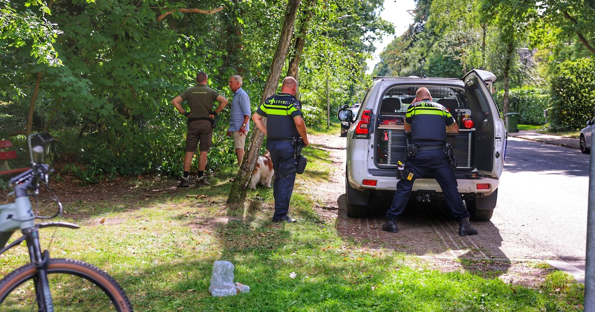 Verdachte van zedenmisdrijf in Zeist aangehouden na tonen van beelden | Binnenland | ED.nl