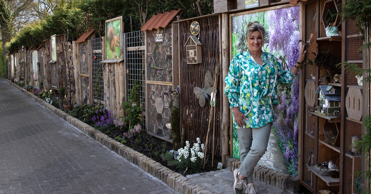 Mooiste (en langste?) insectenwand van Noord-Brabant staat in Mierlo ...