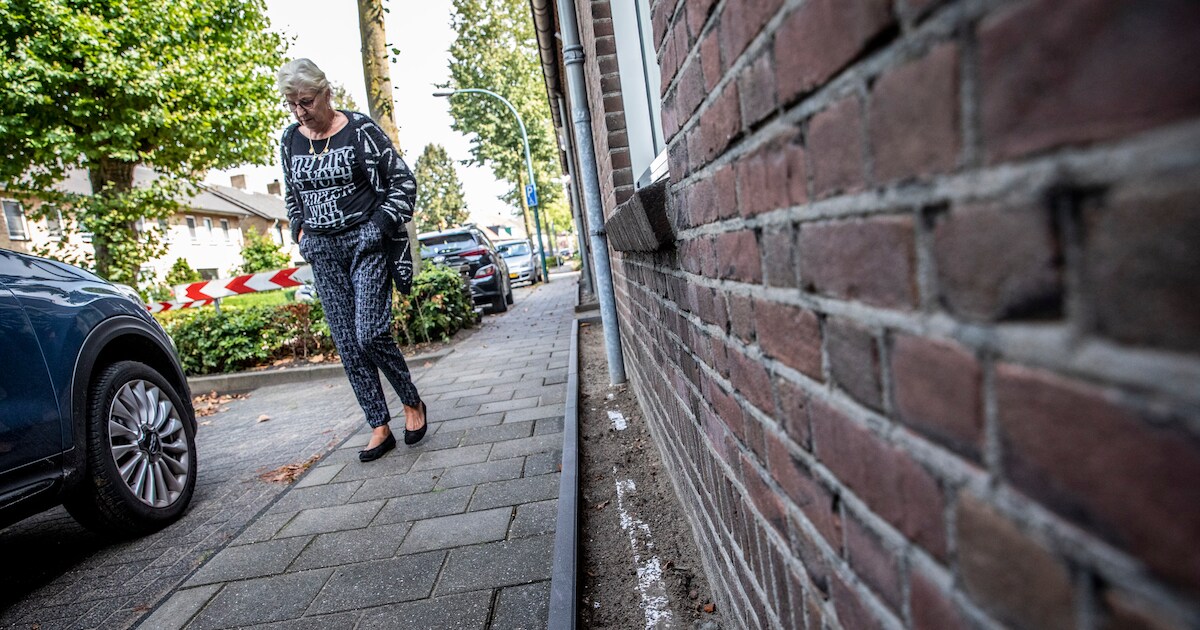 Kapelstraat wordt groener, maar de bewoners hopen vooral dat de ...