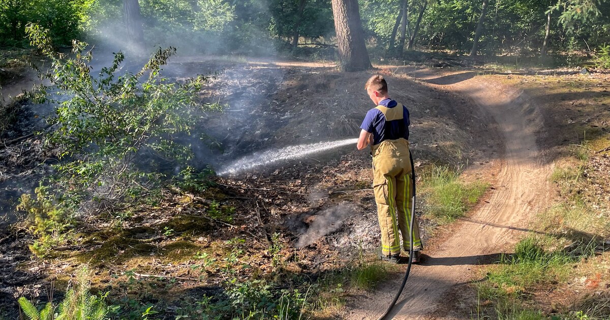 Beginnende bosbrand in Helmond snel geblust | 112 nieuws Helmond | ED.nl