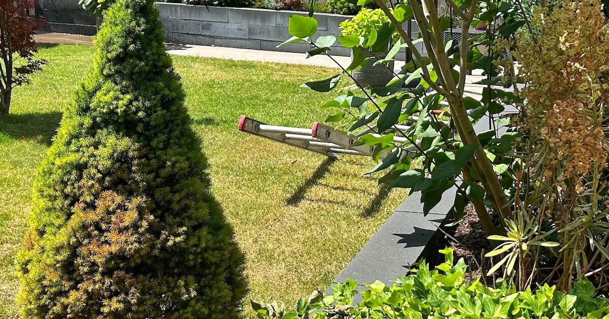 Man valt tijdens werk in zijn tuin van ladder in Waalre en raakt ...
