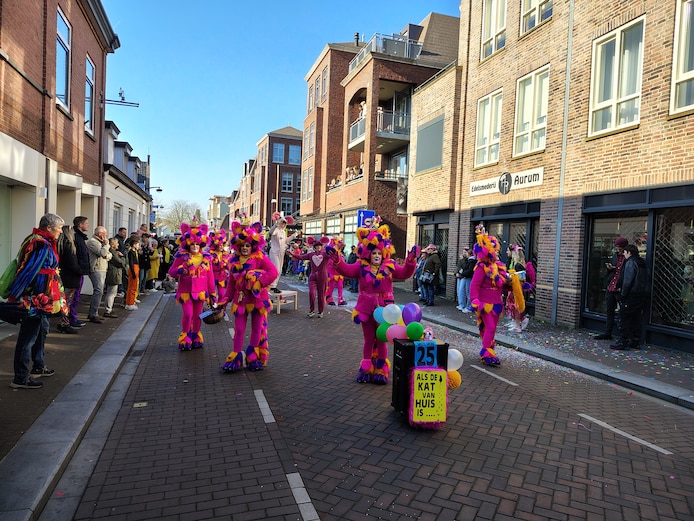 Creativiteit siert de optocht in Asten | Carnaval | ed.nl