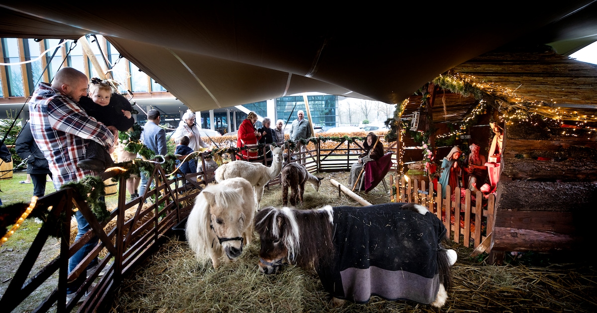 Van der Valk Hotel Eindhoven blaast fenomeen levende kerststal nieuw ...