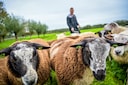 Is de veestapel echt zoveel gekrompen, zoals Caroline van der Plas ...