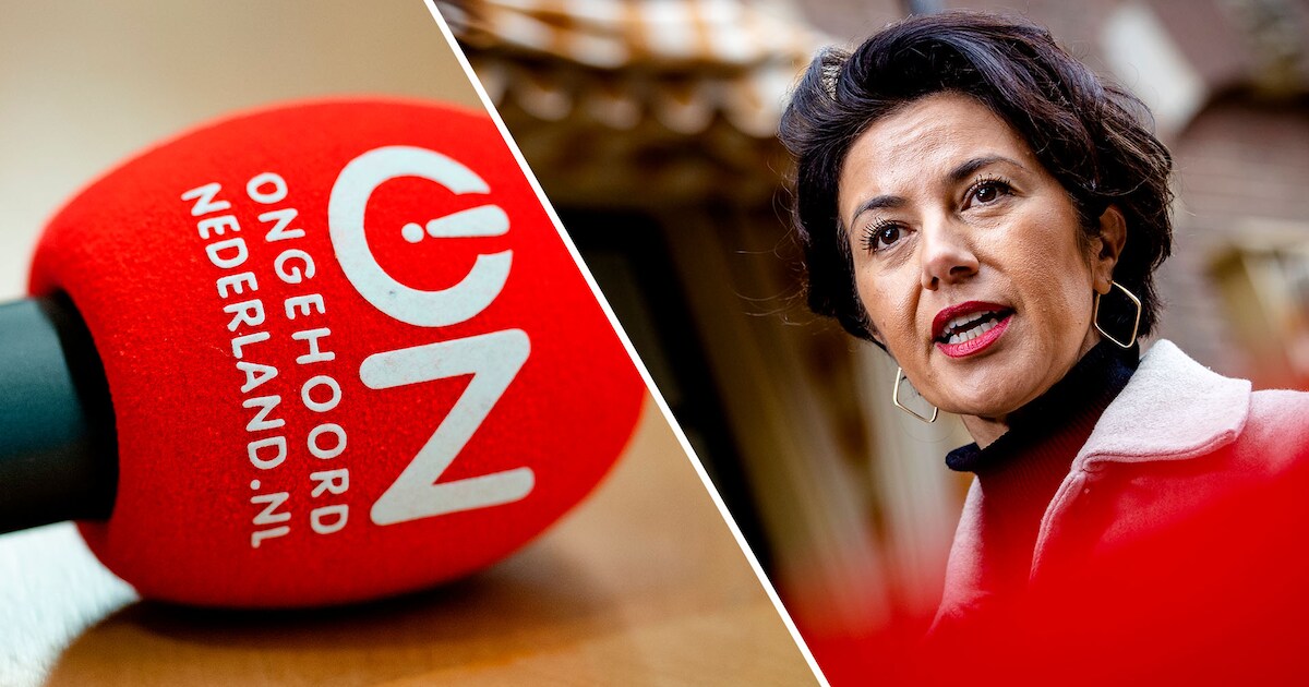 Experts: Uslu staat ‘niets in de weg’ om Ongehoord Nederland van de buis te halen | Politiek | ed.nl