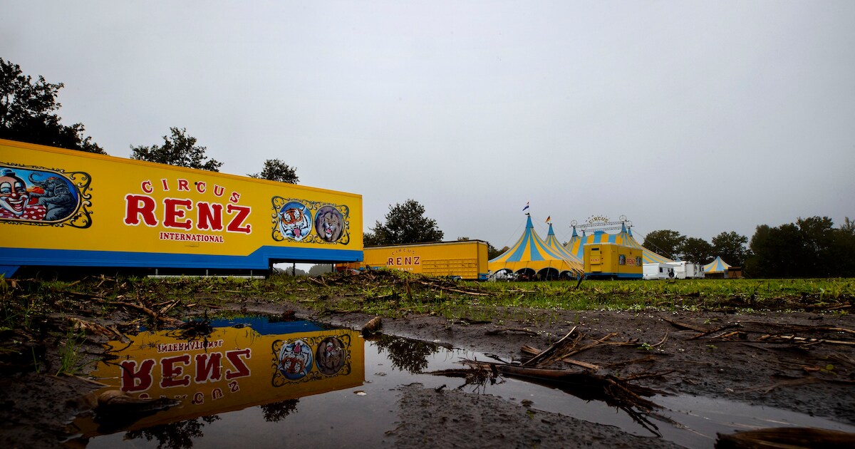 Circus Renz International op nieuwe plek voor evenementen in Berkendonk ...