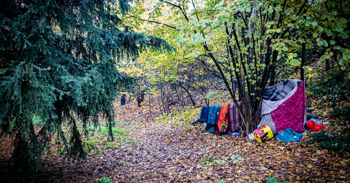 Nieuwe groep daklozen - de bankslapers - groeit in Eindhoven explosief ...