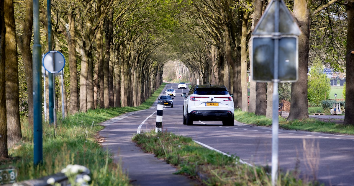 Roep om vrijliggend fietspad langs Sonseweg wordt groter | Eindhoven ...