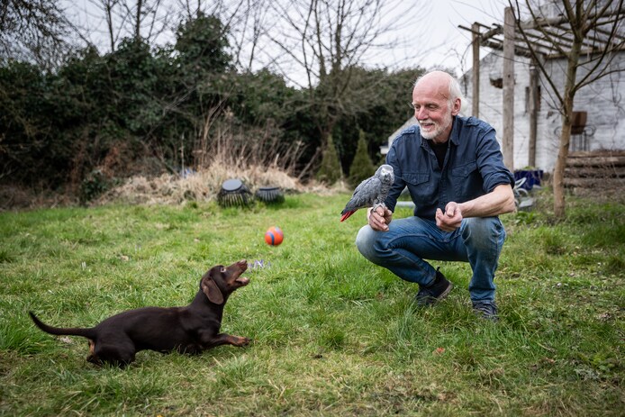 Geldropse dierenarts en vogelspecialist Frans Evers had leeuwin in zijn praktijk | Geldrop ...