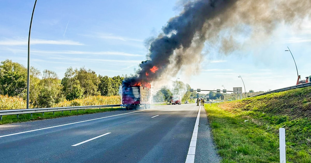 Vrachtwagenbrand op de A50 bij Eindhoven: vuur brak uit in auto die werd vervoerd | 112 nieuws ...