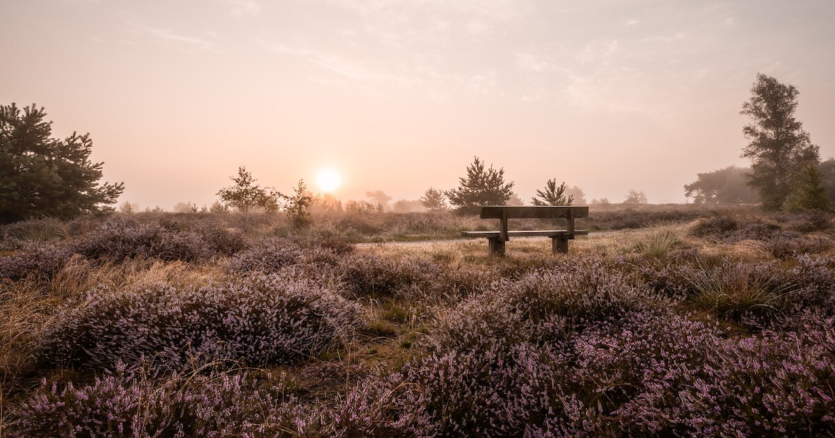 Inwoners, ondernemers en verenigingen kunnen meedenken over toekomst ...