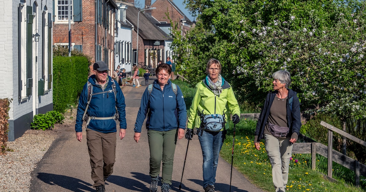 Wandeltocht Geheid Goed in Mariaheide | Meierijstad | ED.nl