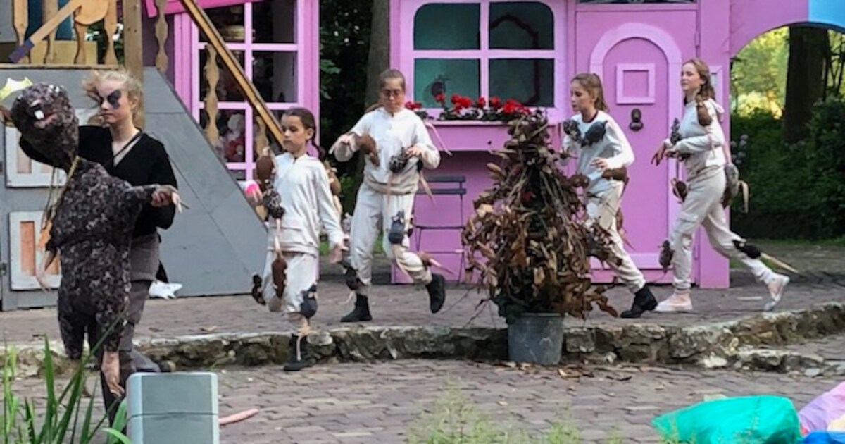 Plezier met ratten in De Donck, voor spelers en publiek | Someren | ed.nl