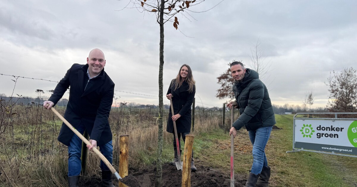 De eerste van duizenden nieuwe bomen in Asten, Heusden en Ommel | Regio ...