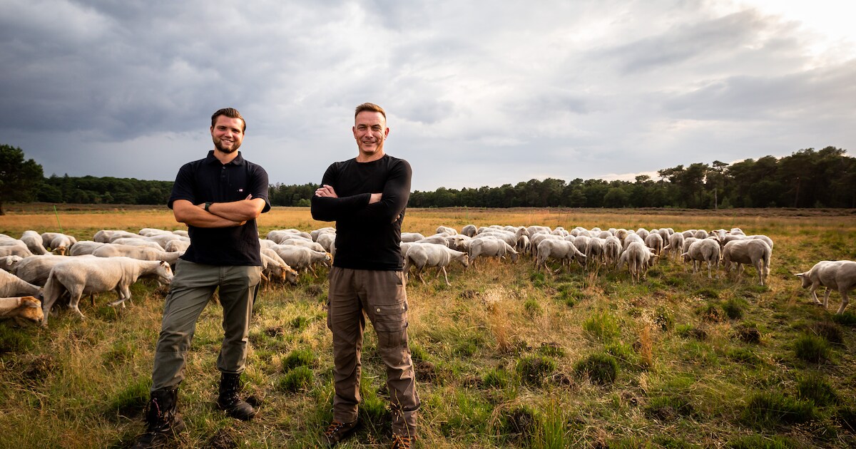 Aan schaapherders geen gebrek in Helmond met Willem en Harm ...
